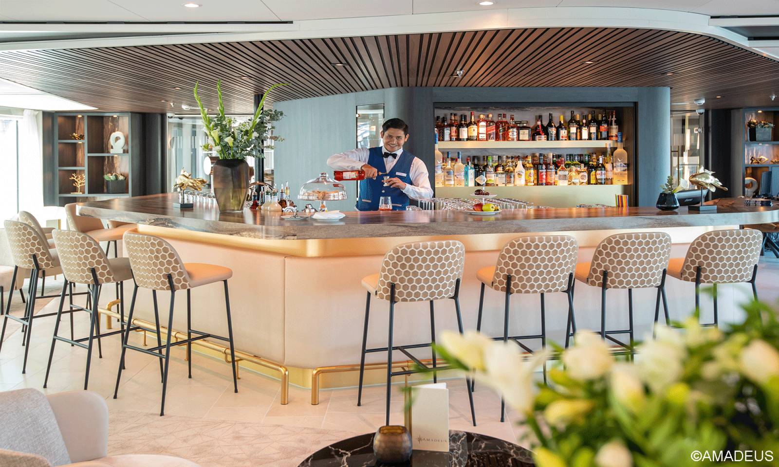 Amadeus Cara Amadeus River Cruises