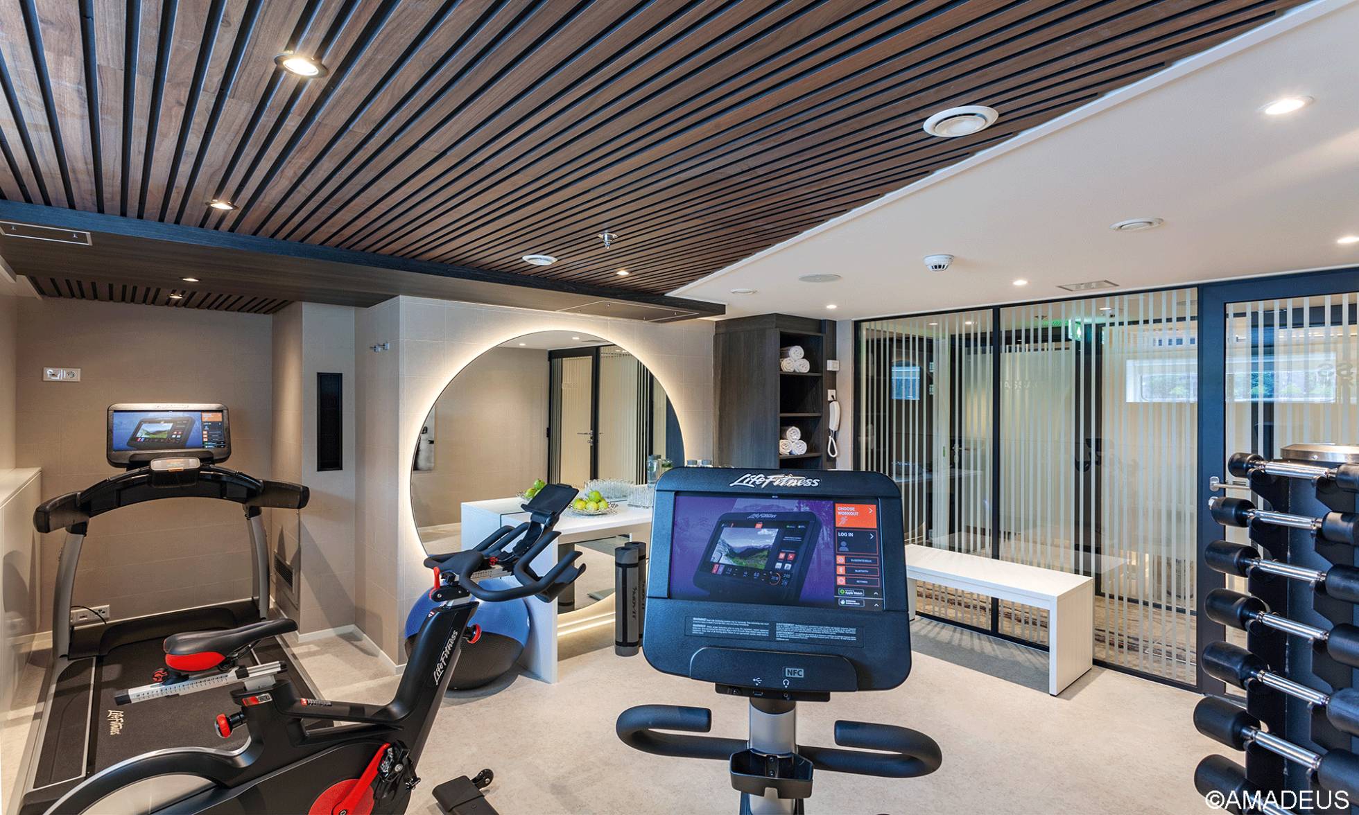 Amadeus Cara Amadeus River Cruises